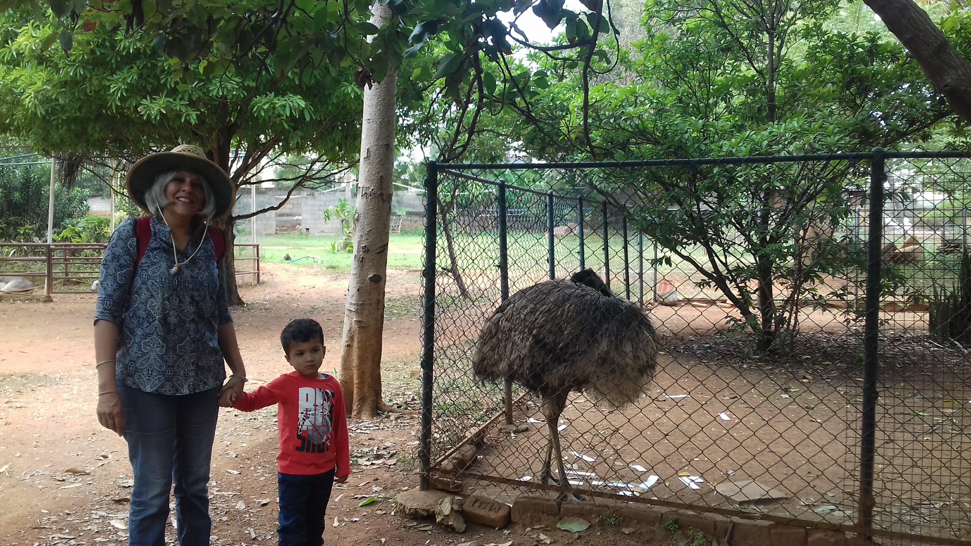 Field trip to The Martin Farm – Samatha Learning Cente